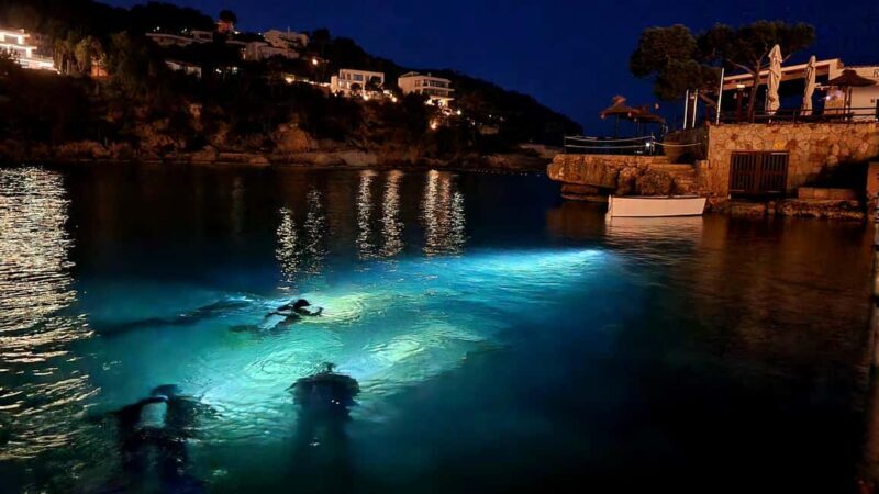 Mallorca: Scuba Diving for Beginners - An Overview of the Experience