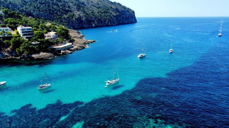 Mallorca: Scuba Diving for Beginners - Real-Life Insights from Reviewers