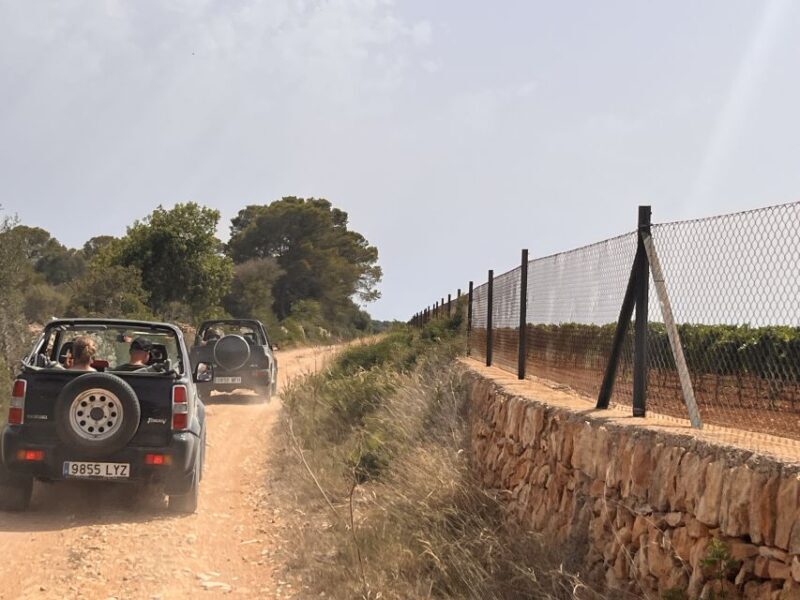 Mallorca: Self Drive 4x4 Jeepsafari Tour - What Is the Mallorca Self Drive 4x4 Jeepsafari?