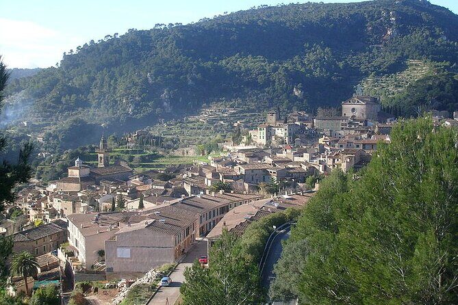Mallorca Shore Excursion Highlights Private Tour including Valldemossa - The Magnificence of Cathedral de Mallorca