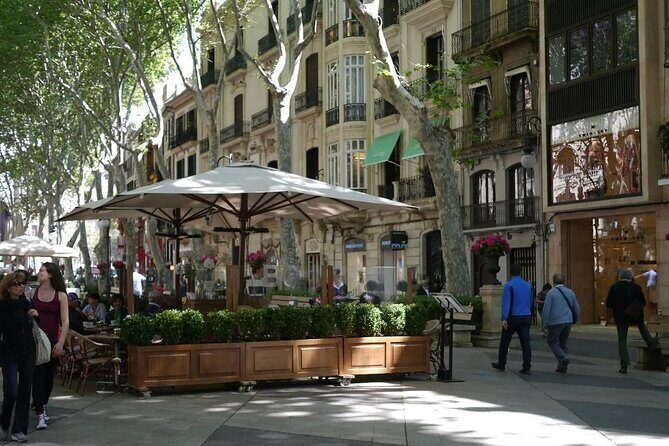 Mallorca Shore Excursion Highlights Private Tour including Valldemossa - What’s Included and What to Expect