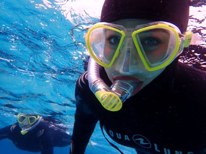 Mallorca: Snorkeling in a Beautiful Nature Reserve - What Makes This Snorkeling Tour Special