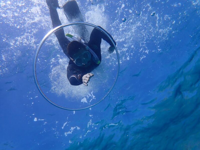 Mallorca: Snorkeling in a Beautiful Nature Reserve - FAQs