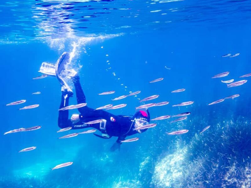 Mallorca: Snorkeling tour with diving instructor from a boat - Cap de Formentor - Mallorca: Snorkeling tour with diving instructor from a boat - Cap de Formentor