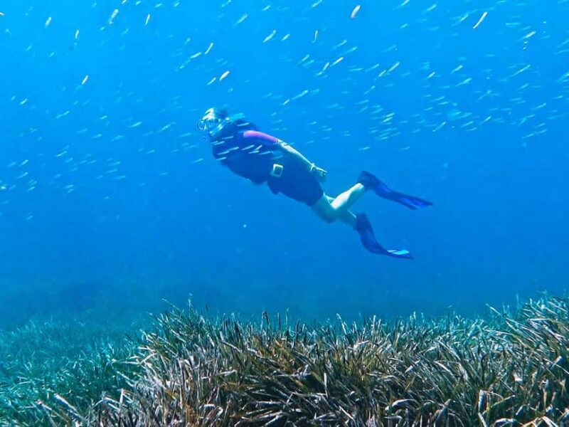 Mallorca: Snorkeling tour with diving instructor from a boat - Cap de Formentor - Pricing and Value