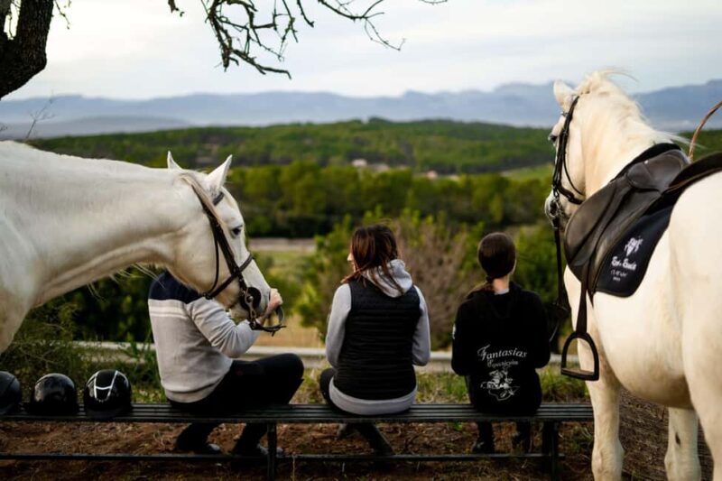 Mallorca: Sunset Horseback Ride with Drinks - Mallorca: Sunset Horseback Ride with Drinks – An Authentic and Scenic Experience