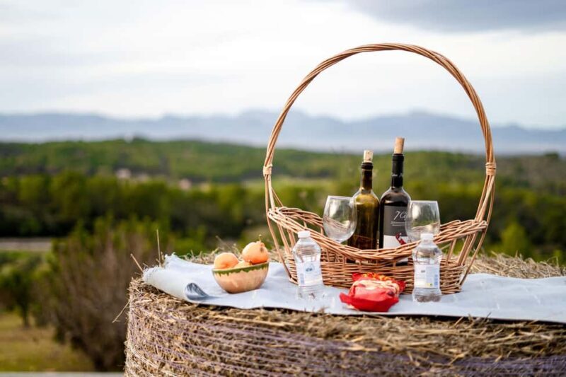 Mallorca: Sunset Horseback Ride with Drinks - The Included and Not Included Details