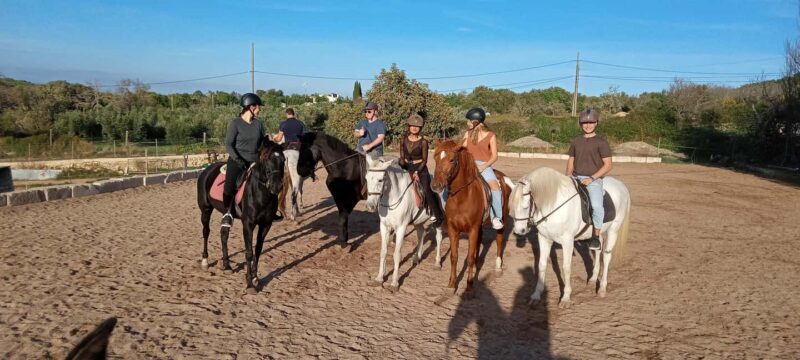 Mallorca: Sunset Horseback Ride with Drinks - The Practical Side: Price, Duration, and Suitability