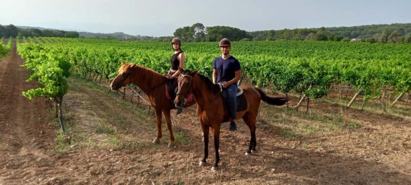 Mallorca: Sunset Horseback Ride with Drinks - Authentic, Relaxed, and Scenic – Who’s It For?