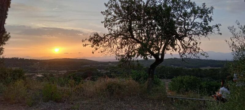 Mallorca: Sunset Horseback Ride with Drinks - Similar Experiences