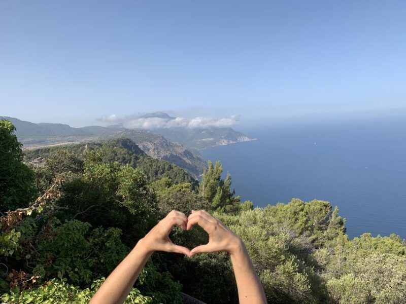 Mallorca: Tramuntana Mountains Tour with Local Guide & Lunch - A Deep Dive Into the Mallorca Tramuntana Mountains Tour