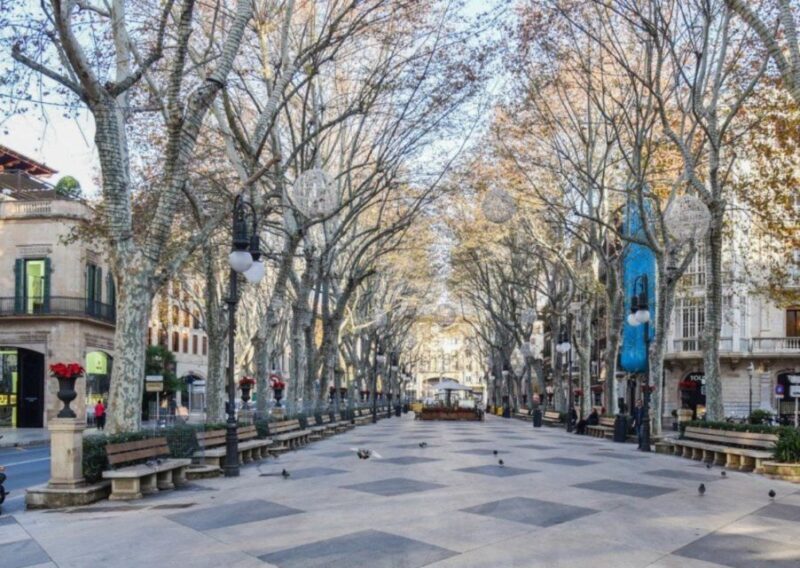 Mallorca: Transfer to Palma self-guided Tour - Key Points