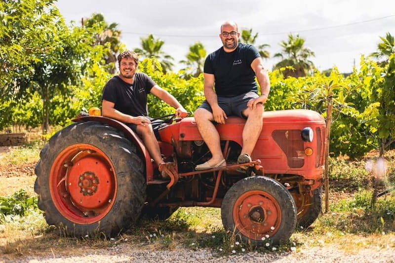 Mallorca: Visit a winery and enjoy a wine tasting, along with some Mallorcan products - Why This Tour Works