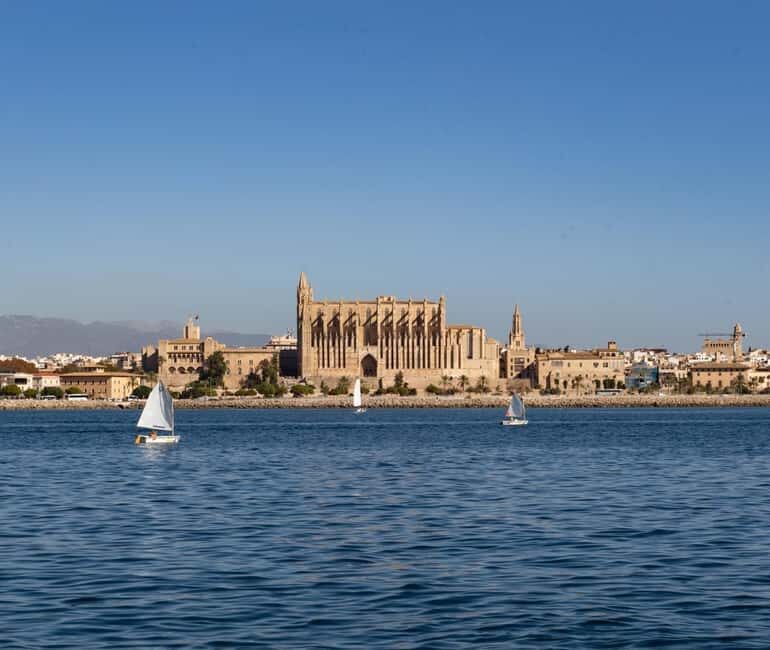 Mallorca: Visit Palma Speedboat adrenaline & snorkelling - Key Points