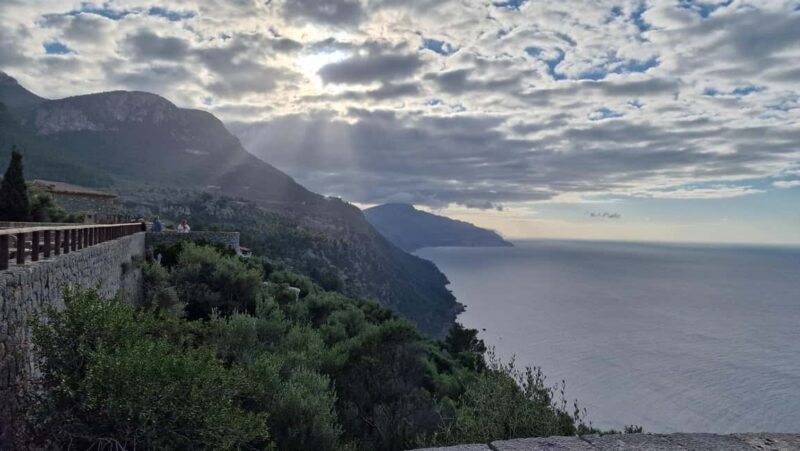 Mallorca: West Coast & Orange Valley Minbustour - What Reviewers Say: Authentic Insights