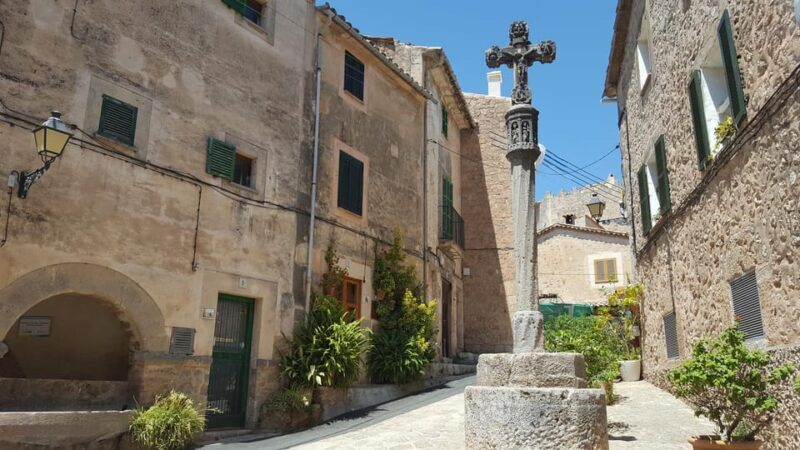Mallorca: West Coast & Orange Valley Minbustour - Who Is This Tour Best For?