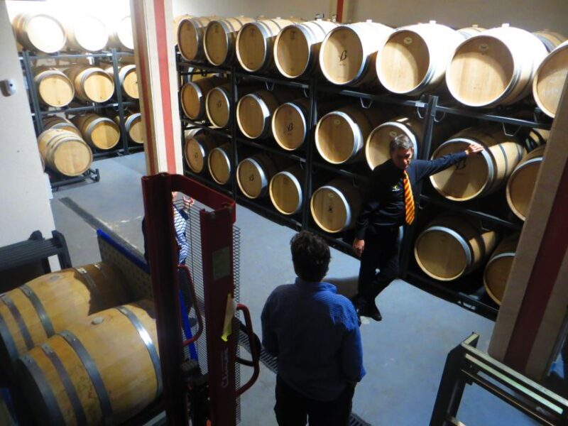 Mallorca: Wine Cellar Tour XL - including 3 Wine Tastings - A Well-Organized Day Out with a Personal Touch