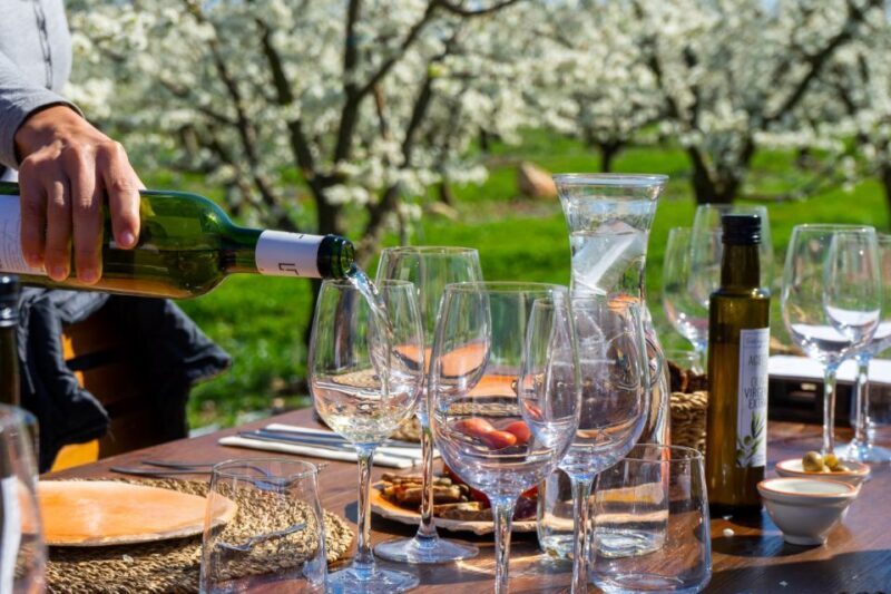 Mallorcas Emblematic Wineries Small Group Tour, two wineries - Mallorcas Emblematic Wineries Small Group Tour: A Deep Dive into the Island’s Vineyards