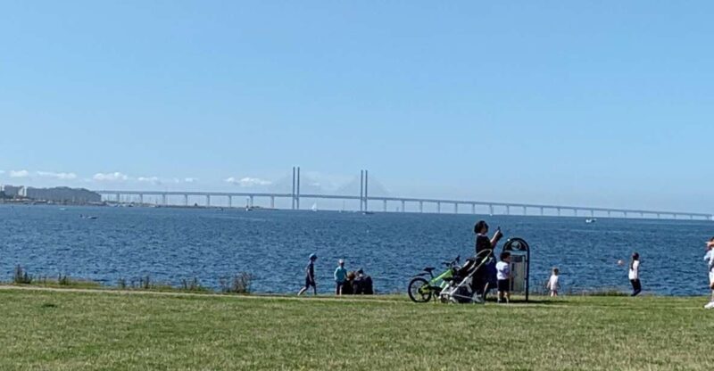 Malmö: 3-Hour Guided Walking Tour - Key Points