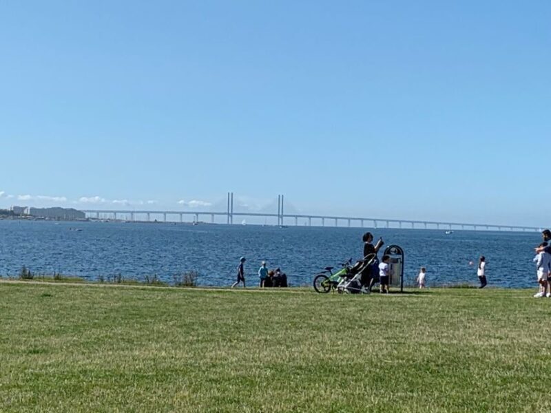 Malmö: 3-Hour Guided Walking Tour - Explore Malmö’s Old Town and Medieval Streets