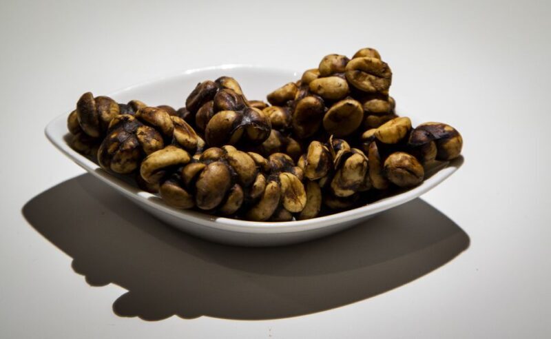 Malmö: Disgusting Food Museum Entrance Ticket - Introduction