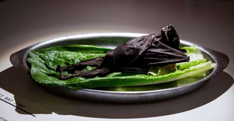 Malmö: Disgusting Food Museum Entrance Ticket - Final Thoughts