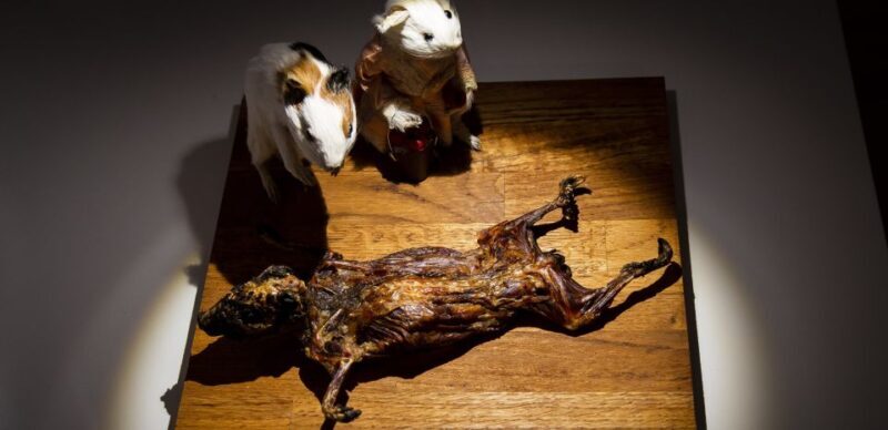 Malmö: Disgusting Food Museum Entrance Ticket - FAQs