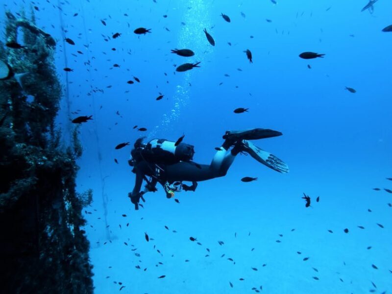 Malta: 2 Scuba Fun Dives for Certified divers - Why Malta is a Top Spot for Diving