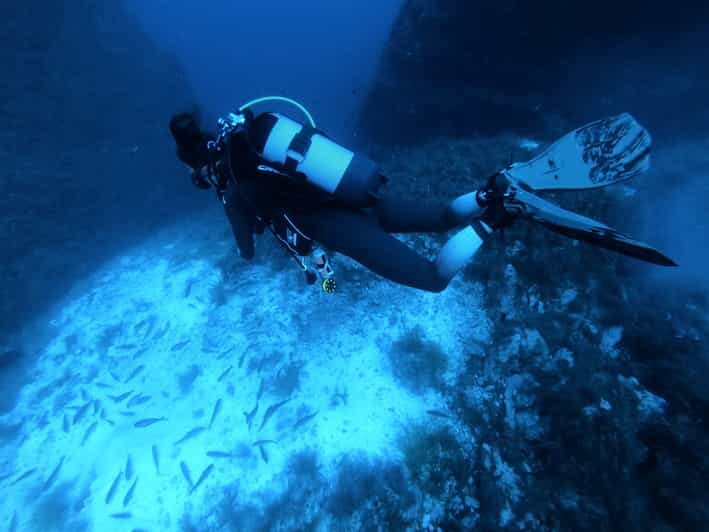 Malta: 2 Scuba Fun Dives for Certified divers - The Experience Breakdown: What You Can Expect