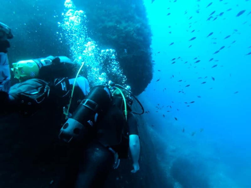 Malta: First Experience Scuba Diving Lesson - Who Should Consider This Tour