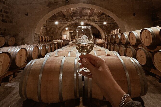 Malta: The Three Cities and Wine Tasting Tour - The Wine Tasting Experience