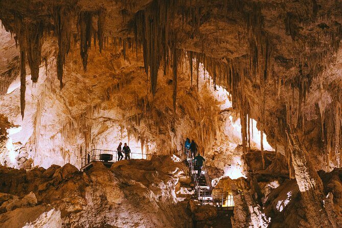 Mammoth Cave Self-guided Audio Tour (Located in Western Australia) - A Detailed Look at the Mammoth Cave Experience