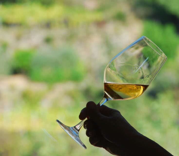 Manarola: Cinque Terre Wine Tasting - An In-Depth Look at the Manarola Wine Tasting Experience
