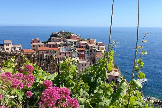 Manarola Wine Tasting Experience with Maria - Exploring the Manarola Wine Tasting Experience in Detail  