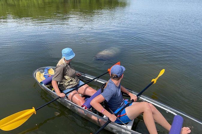 Manatee And Dolphin Tour - Who Will Love This Tour?