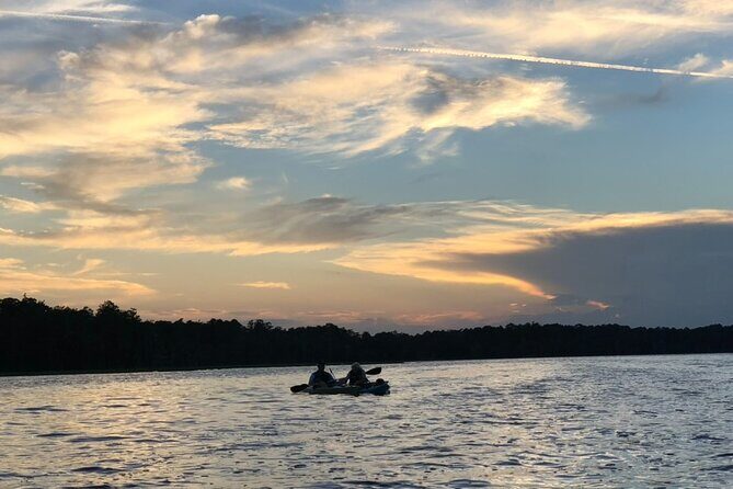 Manatee Springs Adventure Tour - Final Thoughts: Is It Worth It?