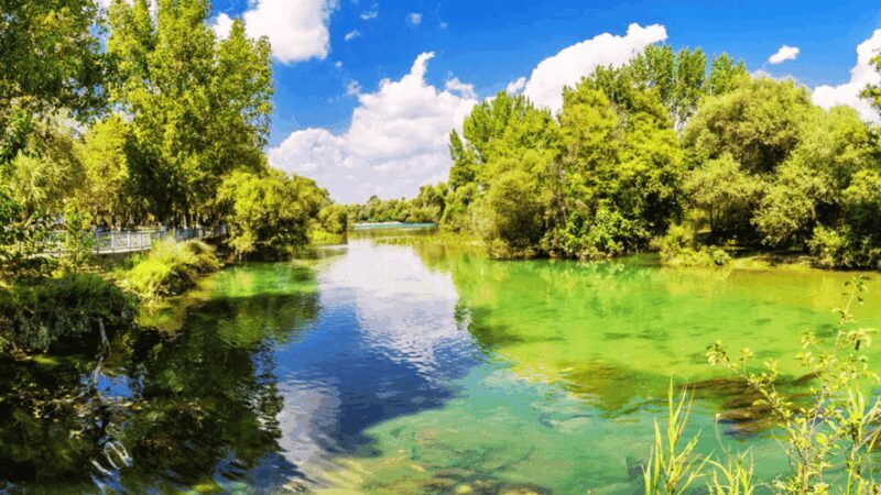 Manavgat River Cruise With Waterfall & Bazaar Tour - Manavgat River Cruise With Waterfall & Bazaar Tour: An In-Depth Review