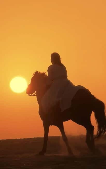 Manavgat Side: Horse Riding on the Beach and in the Forest - Final Thoughts