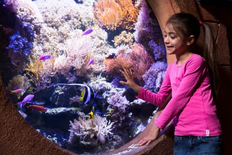 Manchester: SEA LIFE Entrance Ticket - What Visitors Say: Authentic Perspectives