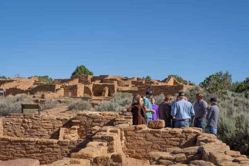 Mancos: Mesa Verde National Park Half-Day Tour - The Experience: Practicalities and Tips