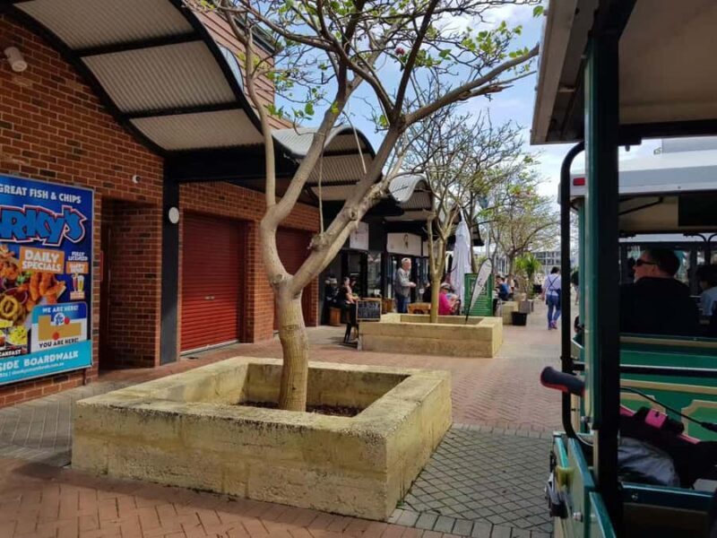 Mandurah: Big Toot 30 mins scenic tour - Key Points