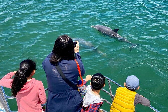 Mandurah Dolphin Cruise and Views - Who Should Consider This Tour?