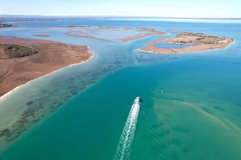 Mandurah: Dolphin & Giant Sightseeing Cruise - Authentic Australian Waterway Adventure with a Twist