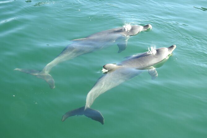 Mandurah Sunset Cruise - FAQs