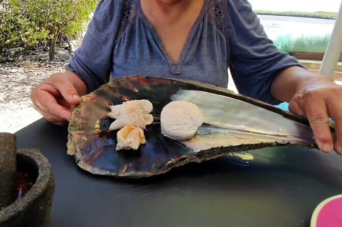 Mangrove Adventure with Snorkeling and Shellfish Tasting - What to Expect from the Mangrove Adventure