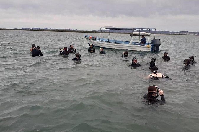 Mangrove Adventure with Snorkeling and Shellfish Tasting - FAQ