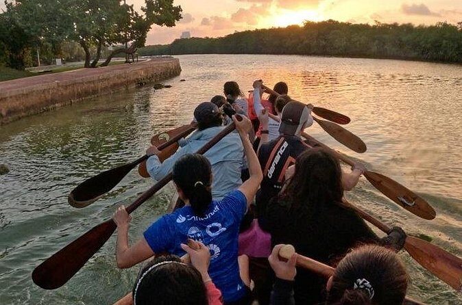 Mangrove Canoe Route at Sunset between Sacred Ecosystems - Who Is This Tour Best For?