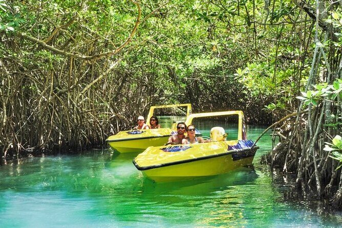 Mangrove Jungle Speedboat Experience - The Itinerary and What to Expect