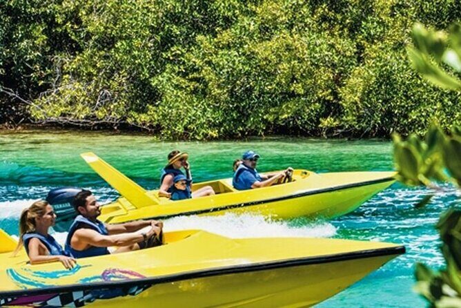 Mangrove Jungle Speedboat Experience - Who Will Love This Tour?