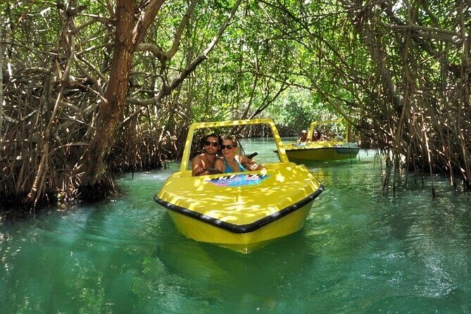 Mangrove Jungle Speedboat Experience - Key Points
